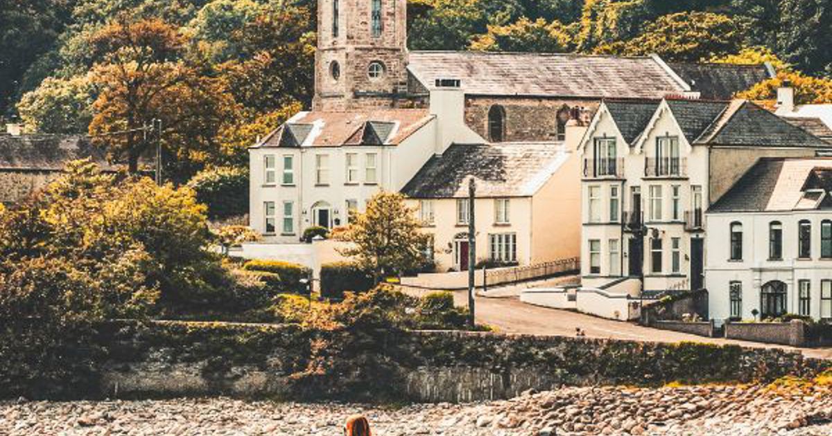 Irish Customs Declaration: Form 1076 | C&E 1076 Customs Form