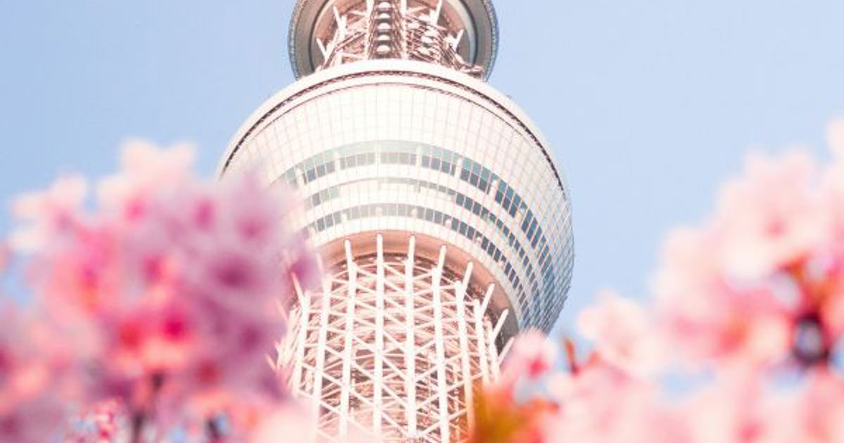 Japan Customs Declaration: C-53060 | Japan Customs Form